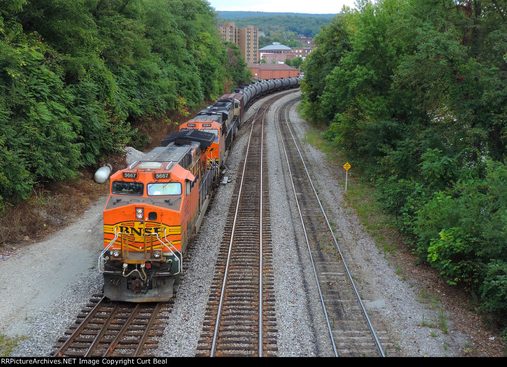 BNSF 5667, 8384, and one more